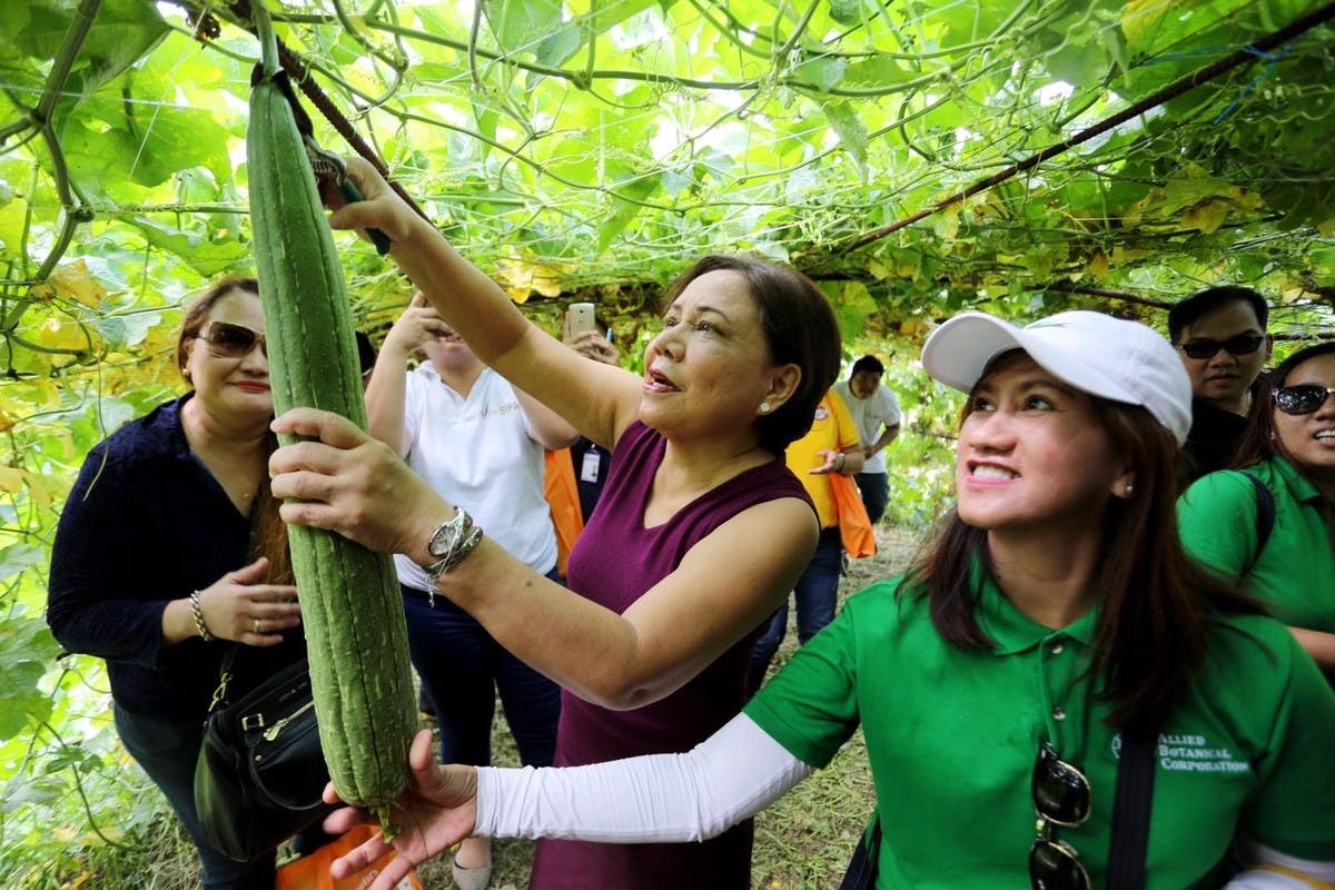 Villar Commends The Passage Of Amended Organic Agriculture Act of 2020 ...