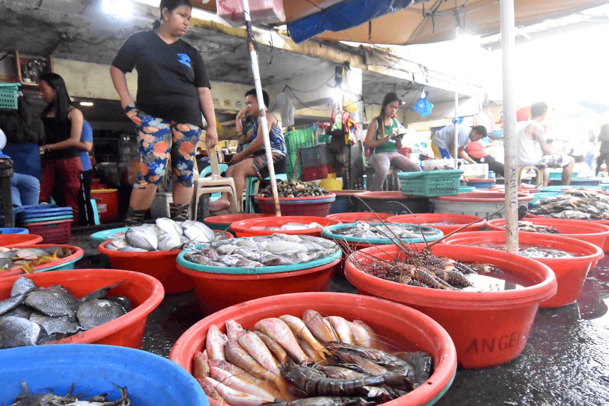 BFAR: Foreign Vessels Curtailed Phl Fish Catch In 2022 | OneNews.PH