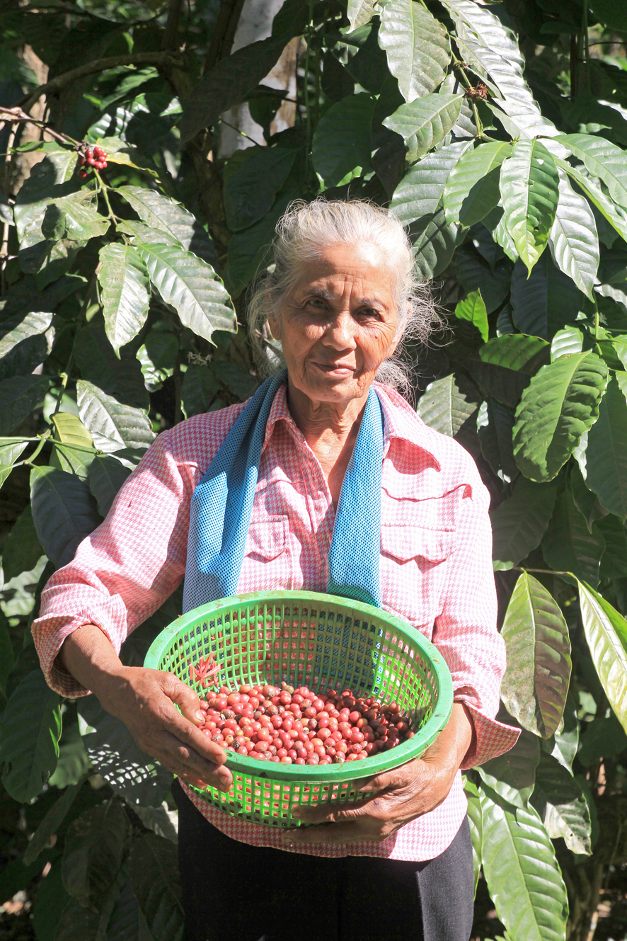 Geothermal Leader Brews A Better Life For Kaingineros, Reaps Top Anvil ...