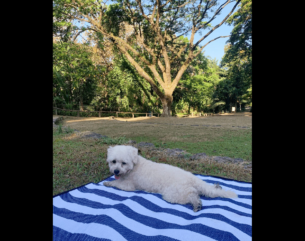 Learning Pure Love By Raising A Dog | OneNews.PH