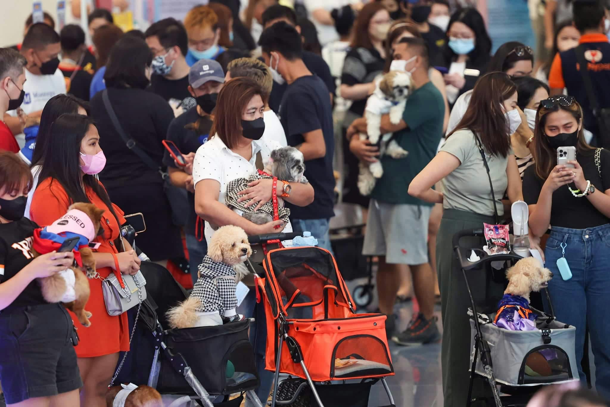 House Bill Seeks Setting Up Of Dog Stations At Malls | OneNews.PH