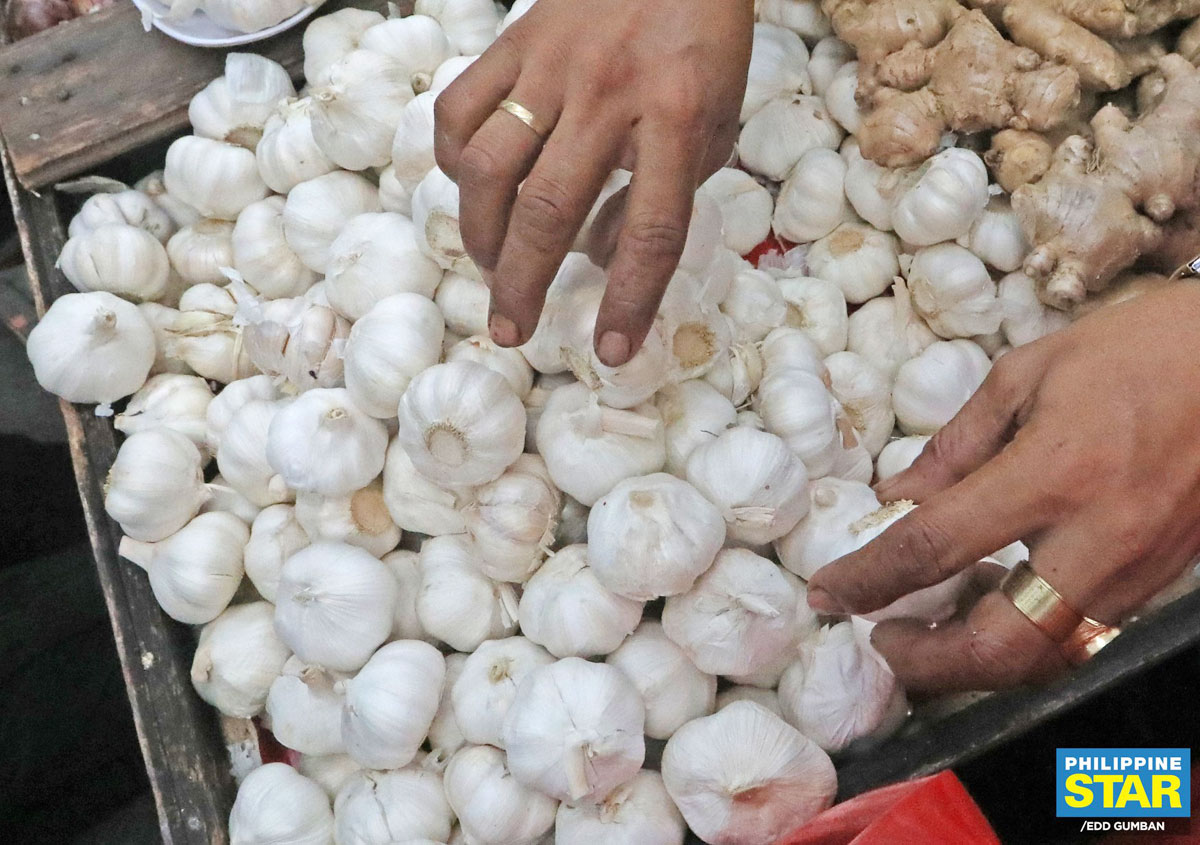 Tons Of Garlic Still Left In Batanes – Governor | OneNews.PH