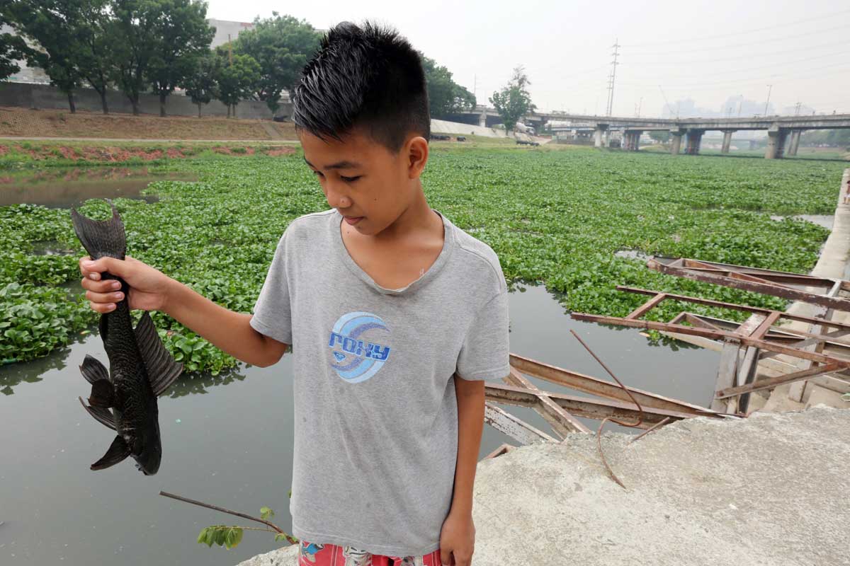 Marikina Mayor Happy To Build On What Bayani Fernando Started | OneNews.PH