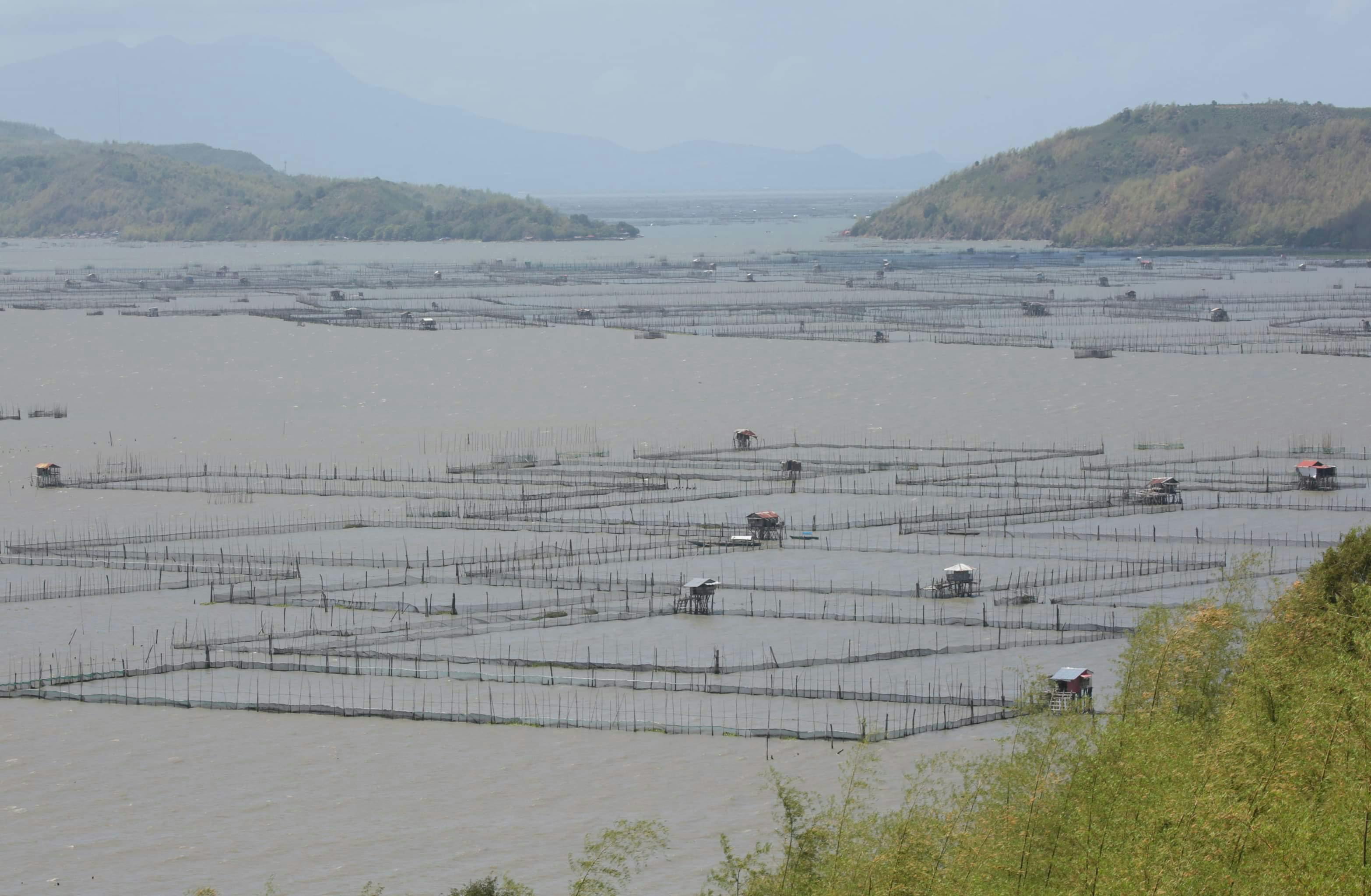 Laguna De Bay Philippines 2,000 Hectares Of Laguna De Bay Eyed For