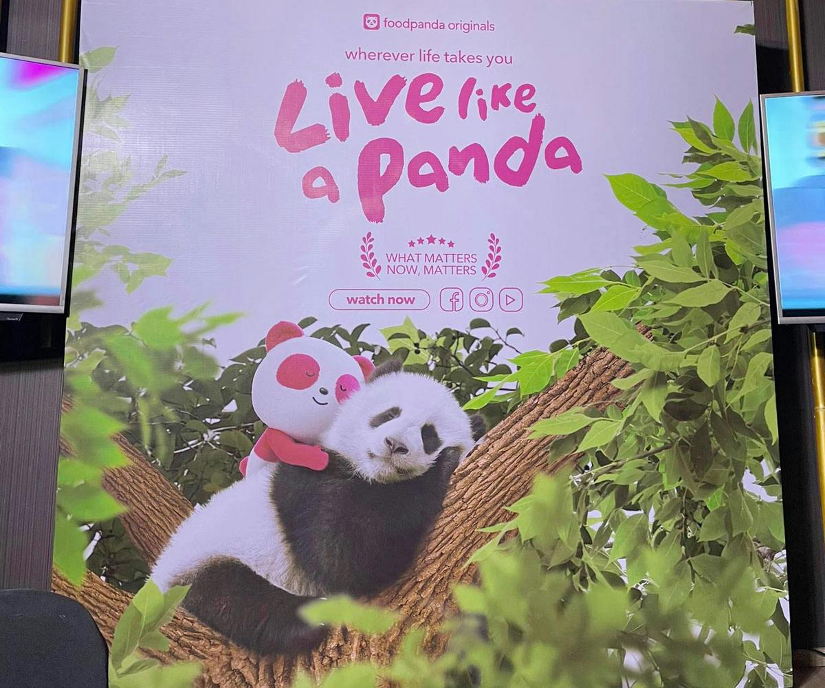 ‘Live Like A Panda’: Pursue What Matters Most To You | OneNews.PH