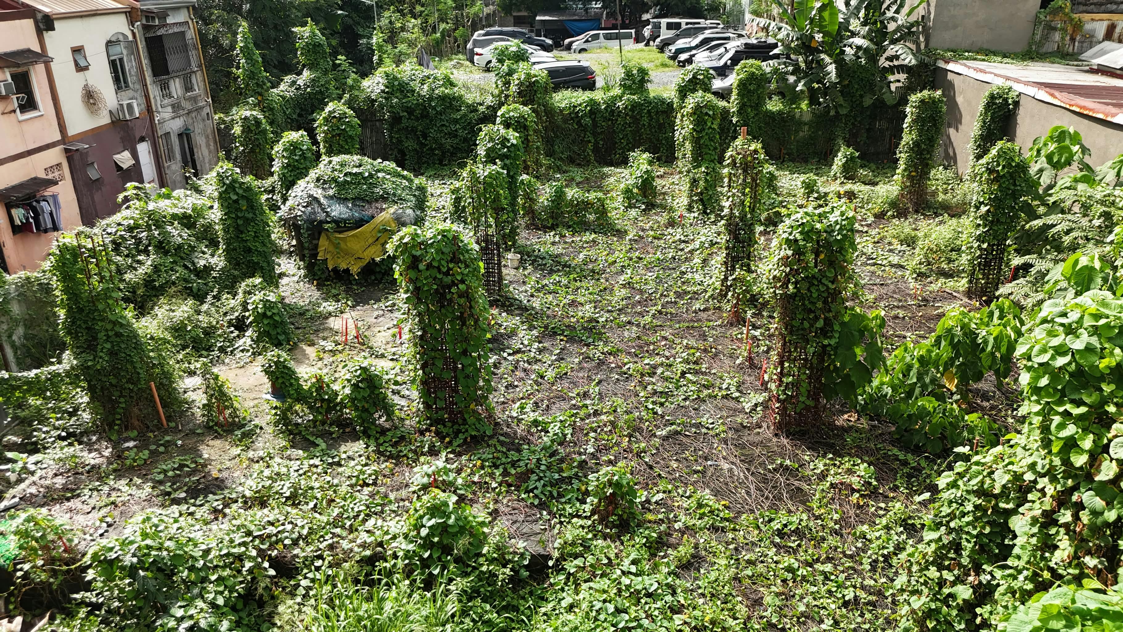 300 Super Health Centers Not Operational – DOH | OneNews.PH