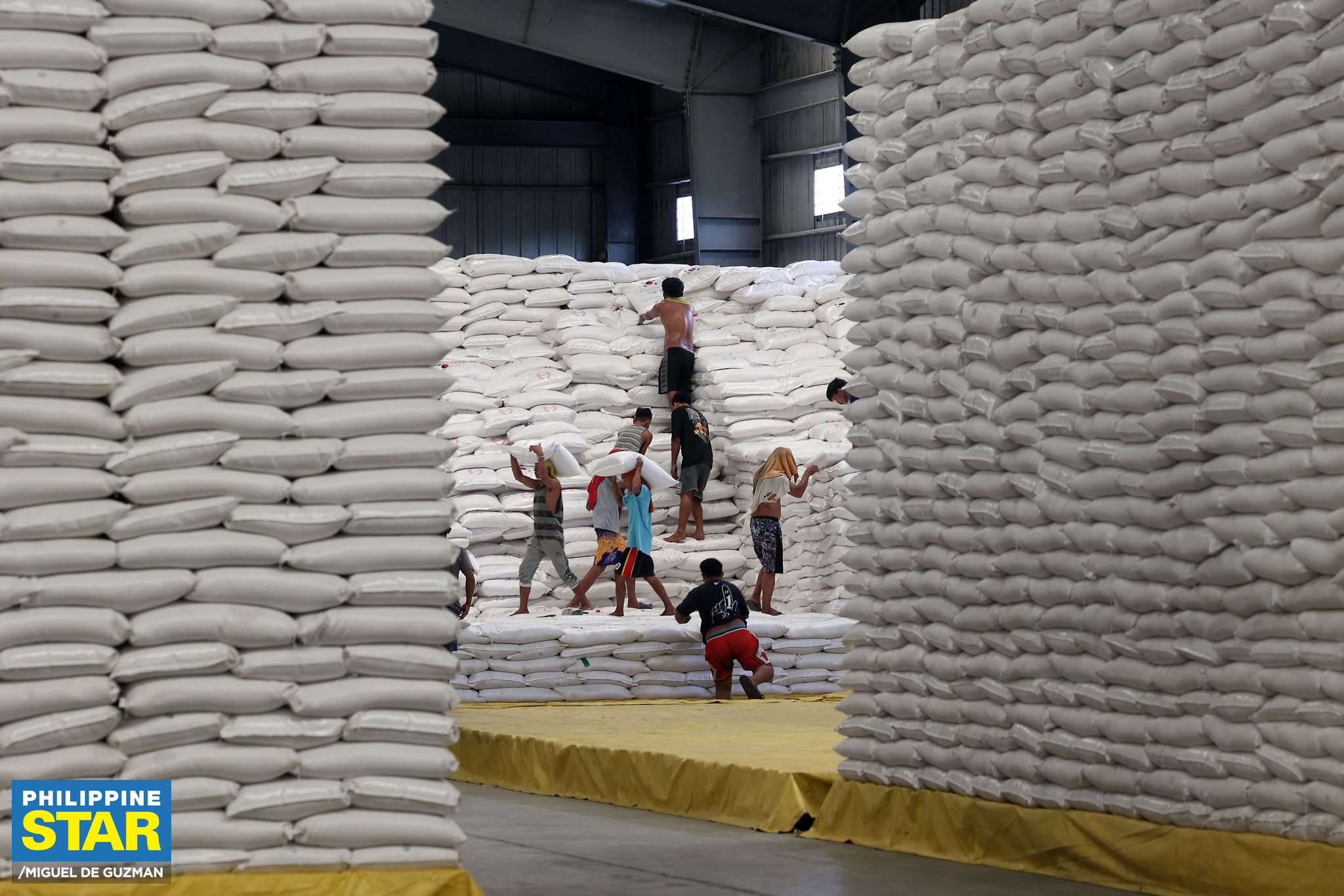 NFA Rice Rolls Out Next Week | OneNews.PH