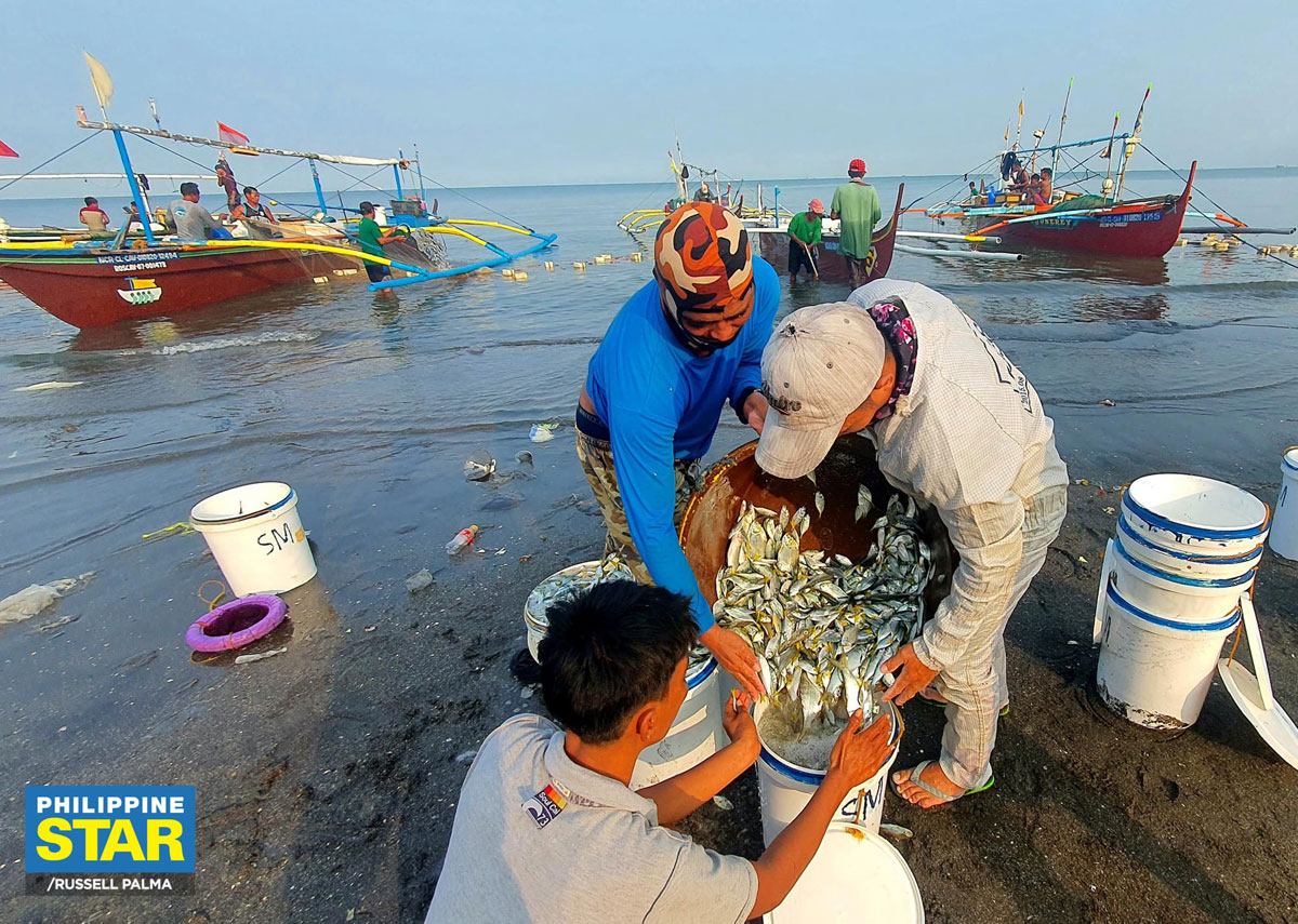 Op-Ed | Exploring Philippines Seas Today, For The Generations Of ...