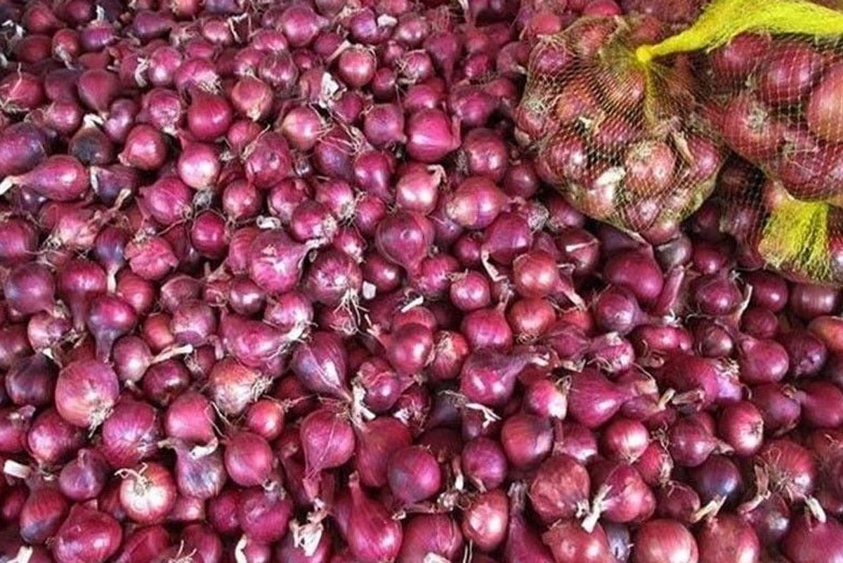Red Onion Price Cap To Rise To P150 Per Kilo | OneNews.PH