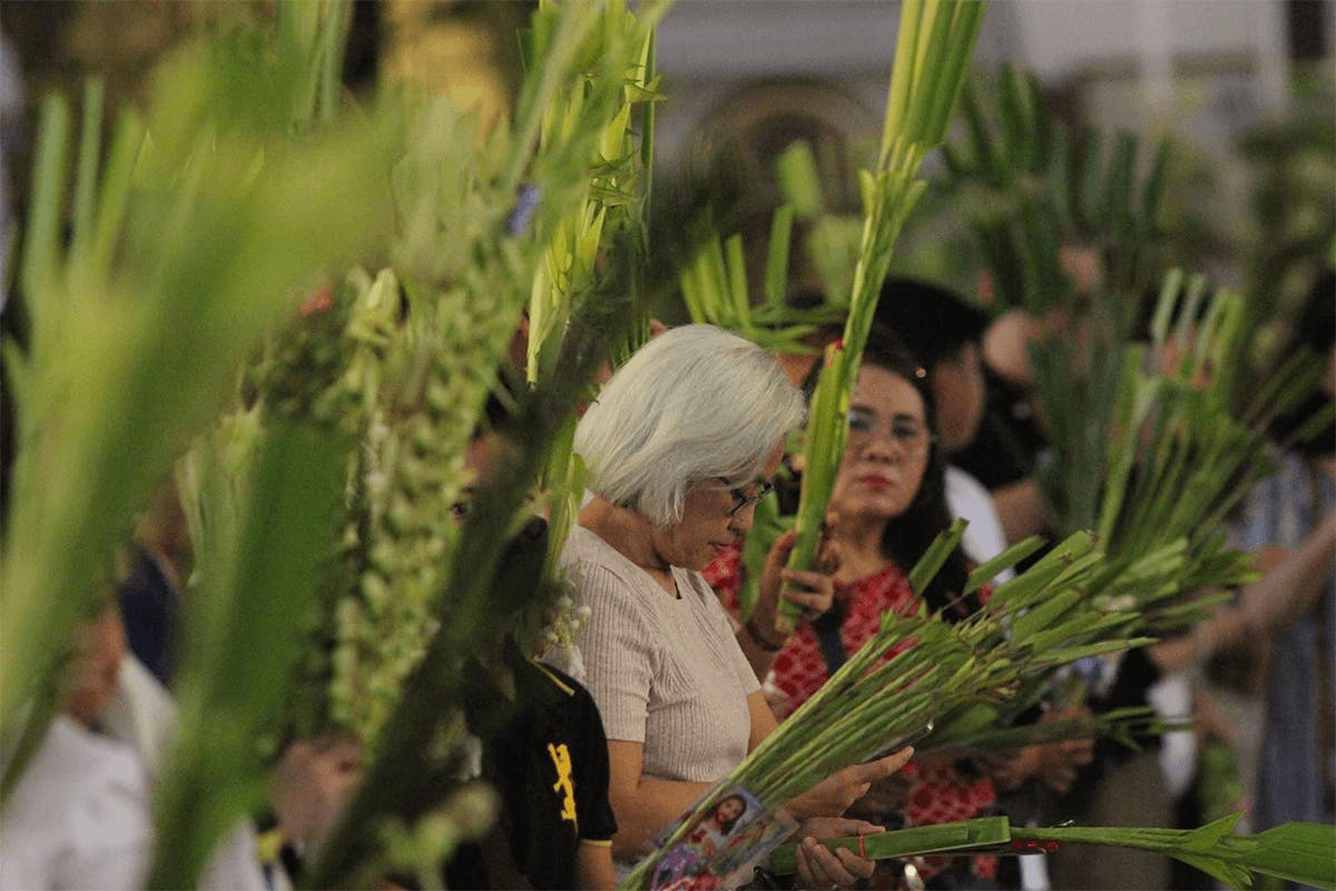 Faithful Urged: Take Up Your Cross | OneNews.PH