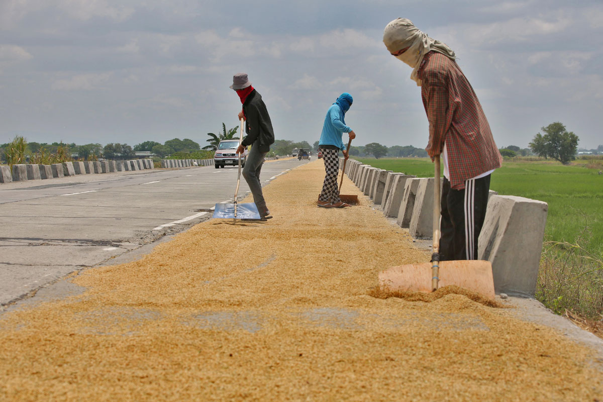 ‘Rice Price Cap To Affect Farmers, Consumers’ | OneNews.PH