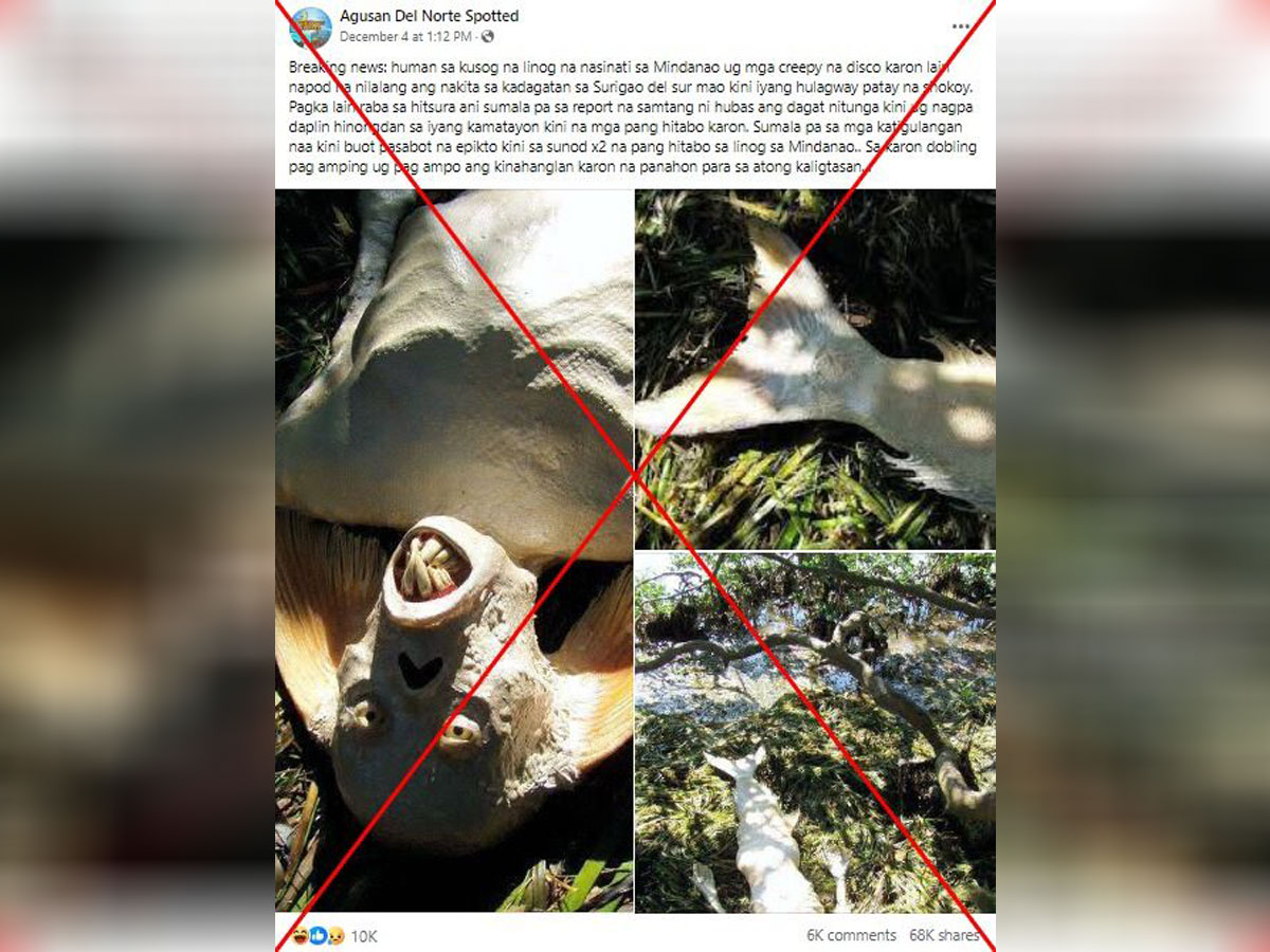 FALSE: Human-like Creature Or Shokoy Found In The Philippines | OneNews.PH