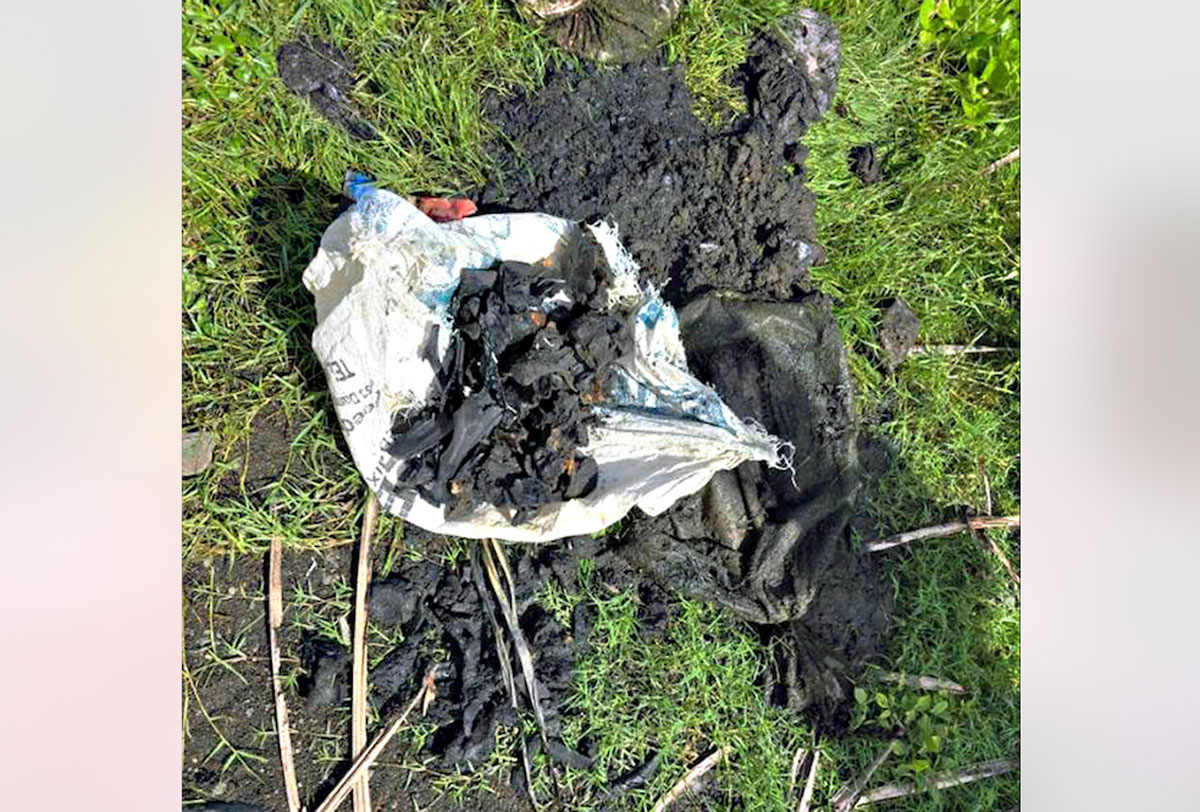 Skeletal Remains Found In Taal Area; DNA Testing Sought As ‘Sabungero ...