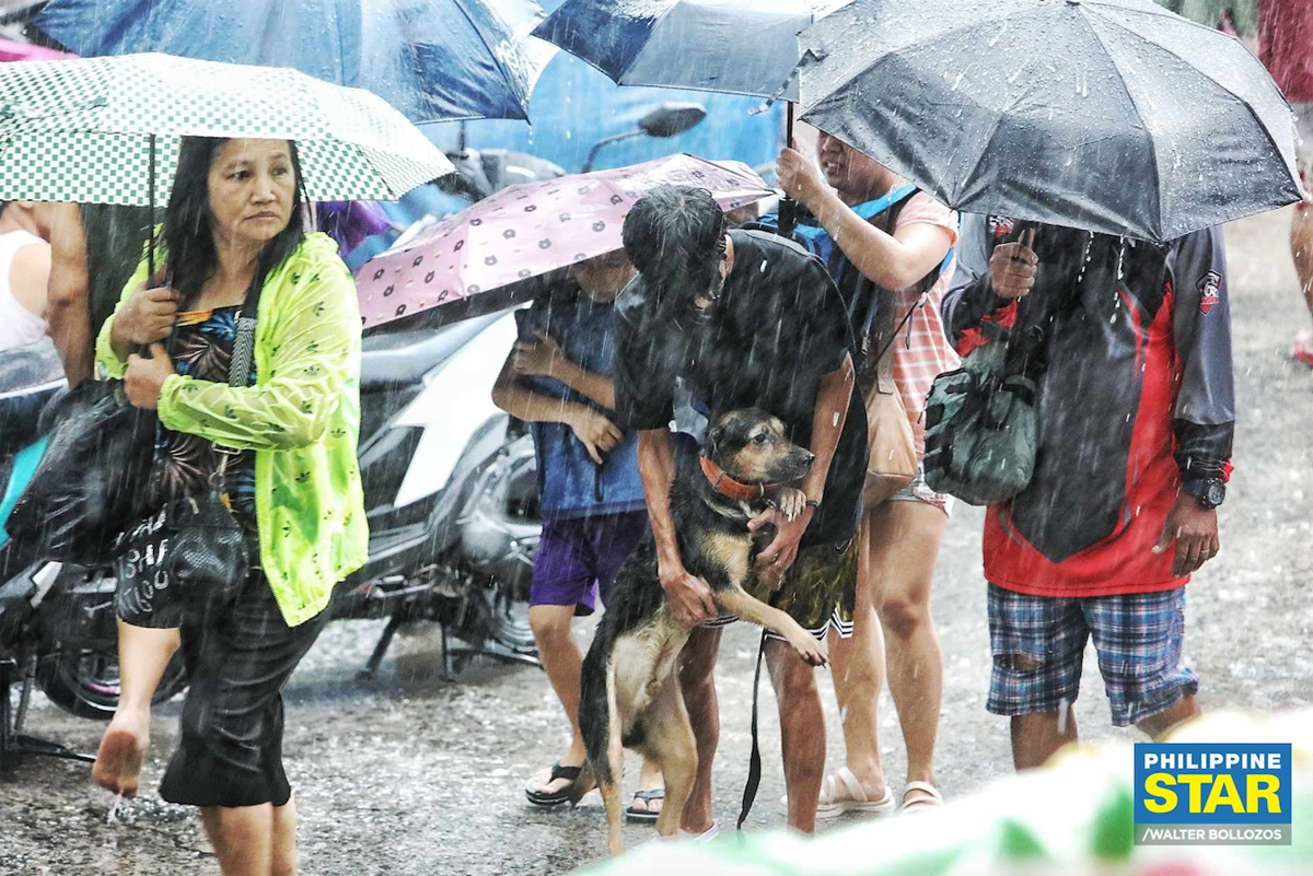 PETA: Don’t Leave Pets Behind | OneNews.PH
