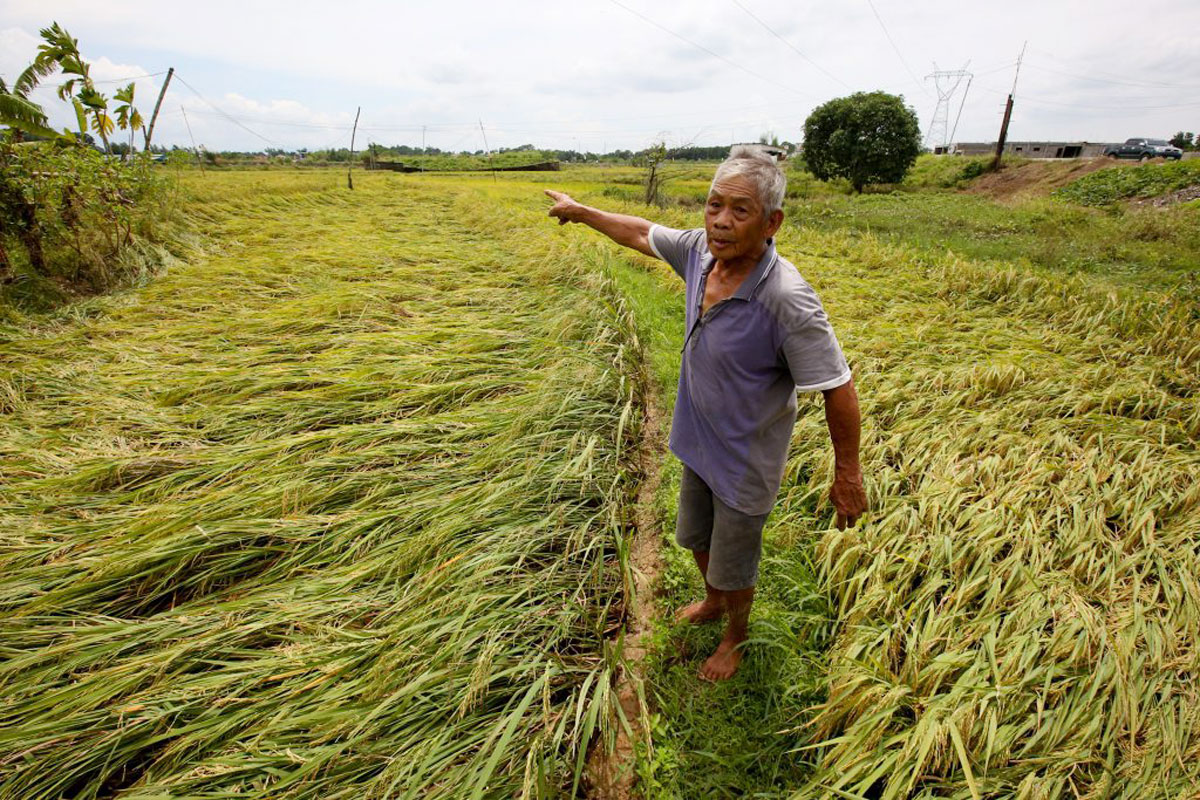 DA: Typhoon Threatens Phl Rice Supply | OneNews.PH