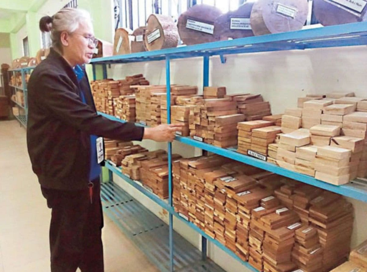 Xylarium: A National Treasure On Makiling’s Foothills | OneNews.PH