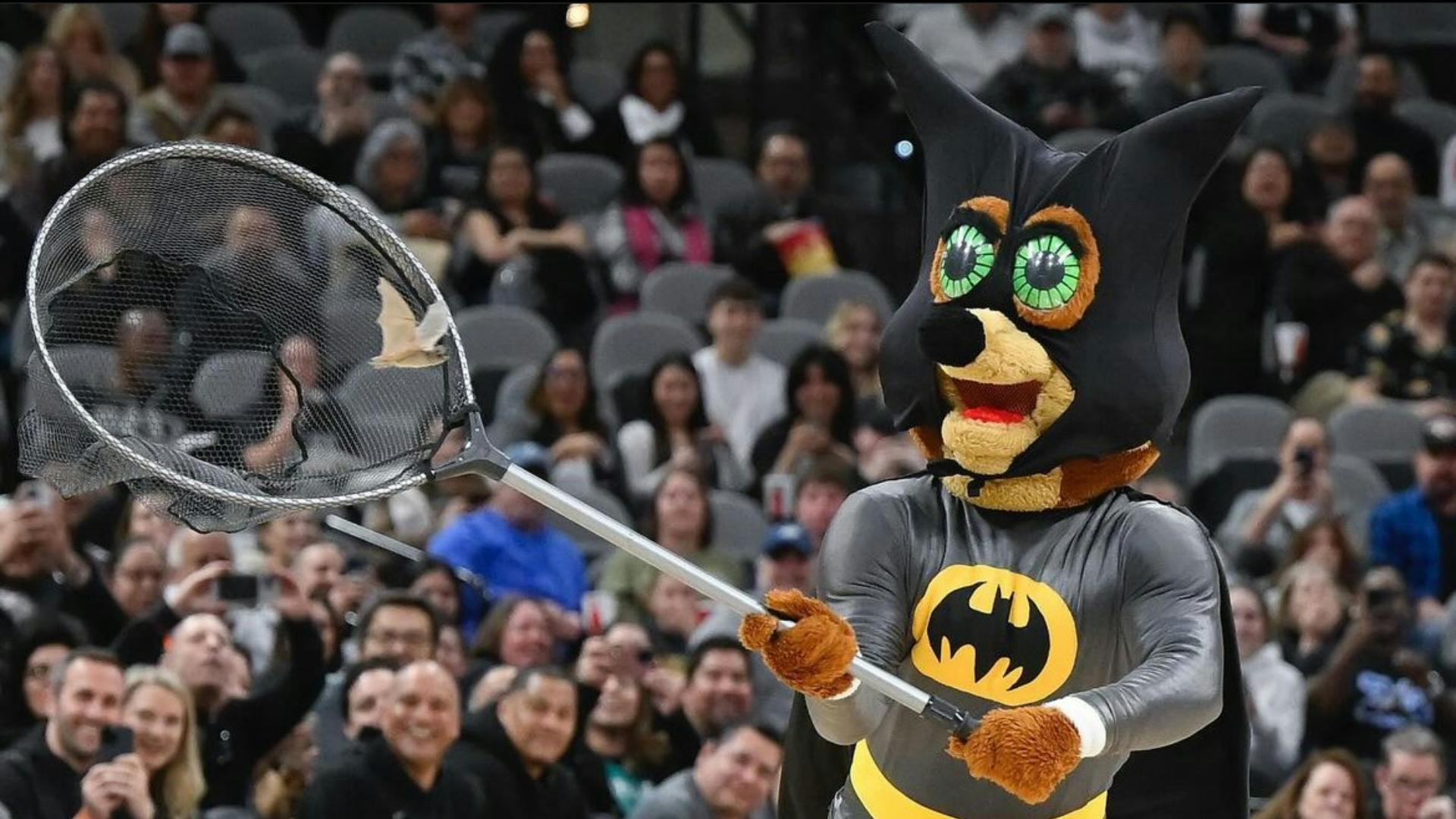 Bat man! With Manu in attendance, Coyote captures third career bat at ...