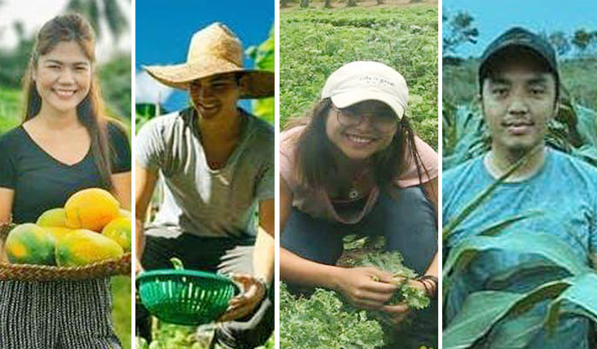Revolutionizing Agriculture Filipino Farmers Embrace Modern Techniques