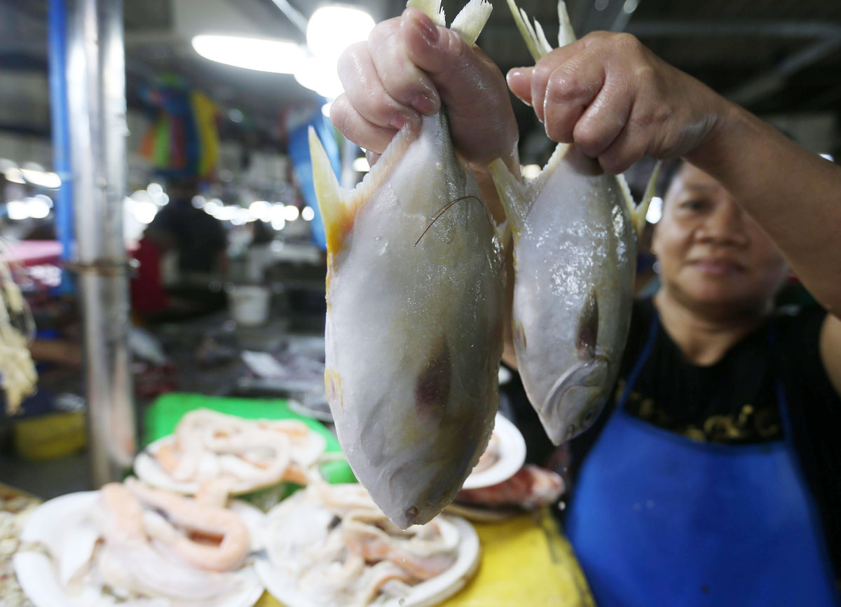 Do Any Other State Ban Importation Of Live Fish Online ...