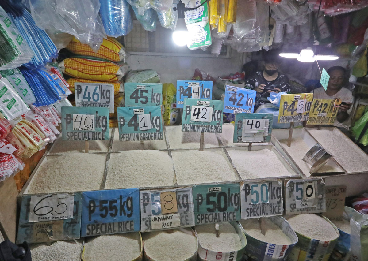 ‘97.5% Rice Sufficiency In 5 Years Doable, But…’ | OneNews.PH