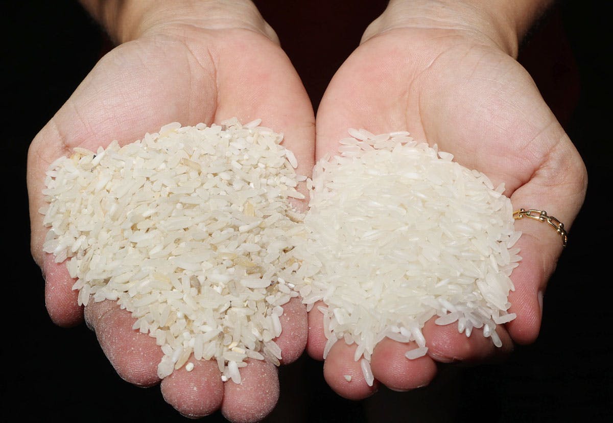Phl May Import Rice All The Way From Argentina | OneNews.PH